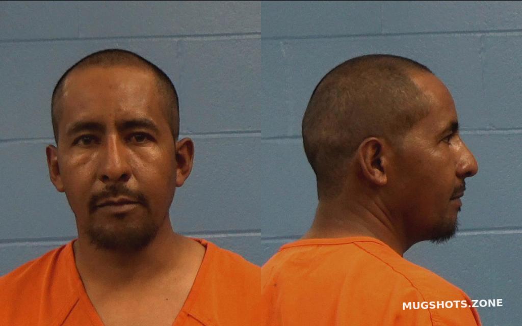 ROSALES-CABRERA FIDEL ANTONIO 04/27/2022 - Williamson County Mugshots Zone