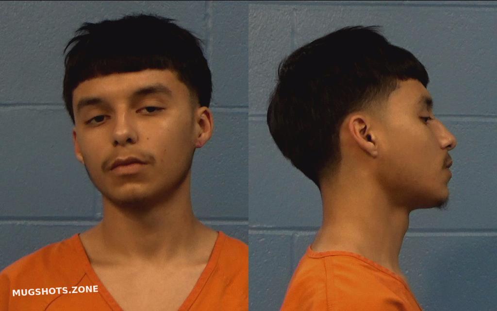 REYNA ADEN ELIJAH 05/22/2022 - Williamson County Mugshots Zone