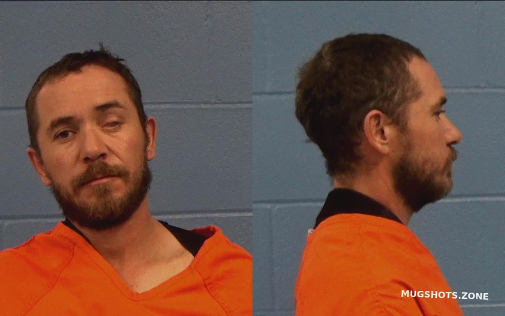 MENDOZA DONNY 06/06/2022 - Williamson County Mugshots Zone