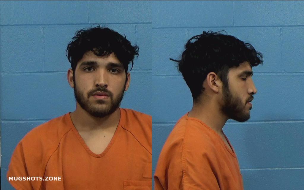 JOHNSON DEVIN ALEXANDER 06/07/2022 - Williamson County Mugshots Zone