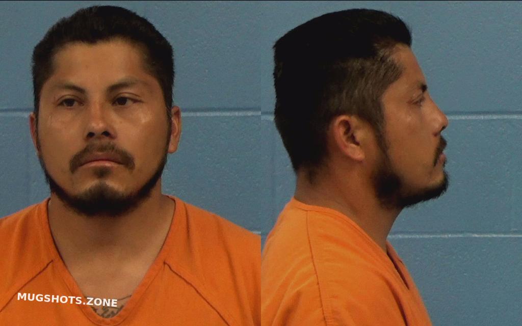 RODRIGUEZ CARLOS ALBERTO 06/08/2022 - Williamson County Mugshots Zone