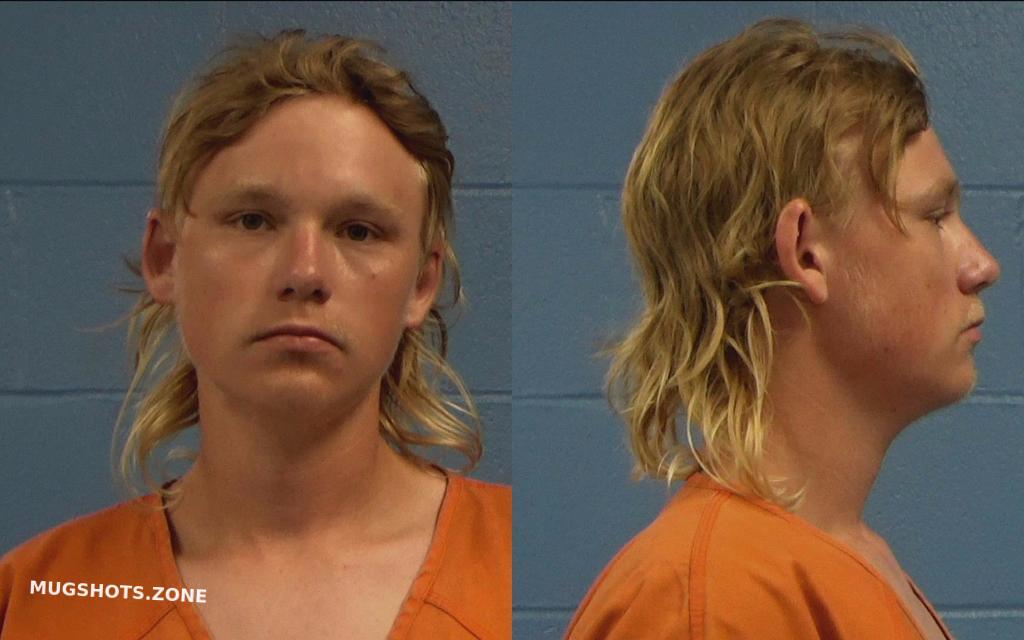 ALLISON KEANAN LAIN 06/12/2022 - Williamson County Mugshots Zone