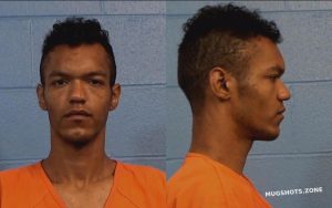 Williamson County Mugshots Zone