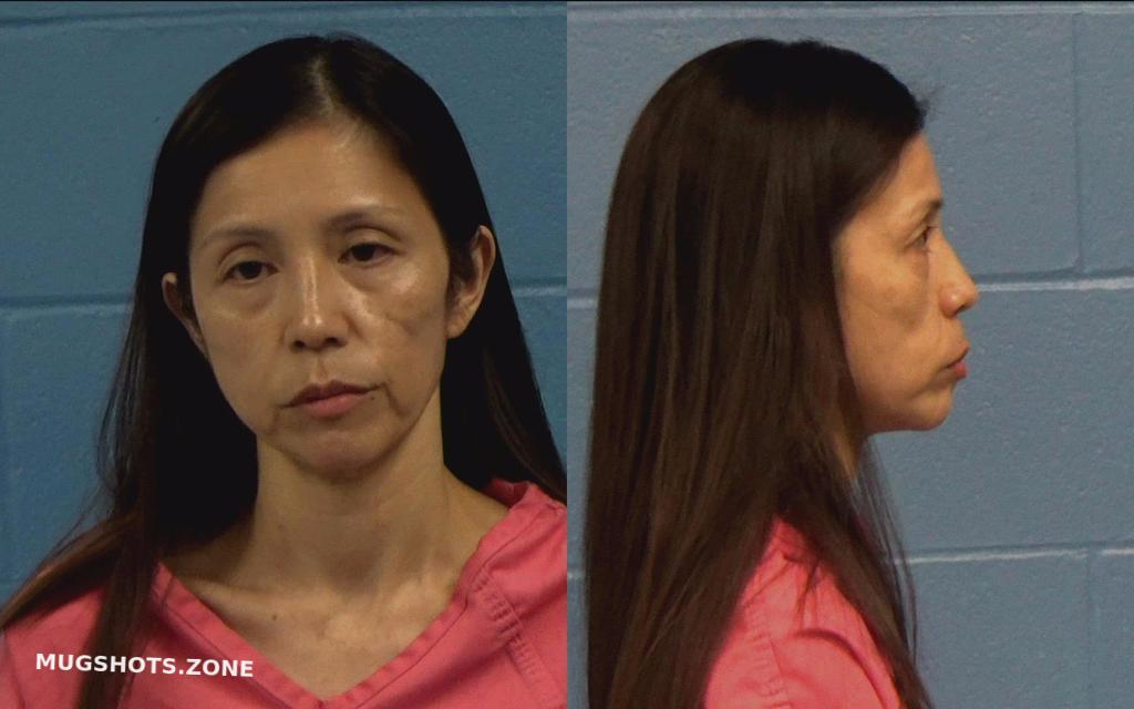 TONG BOON CHING MARINDA 06/21/2022 - Williamson County Mugshots Zone
