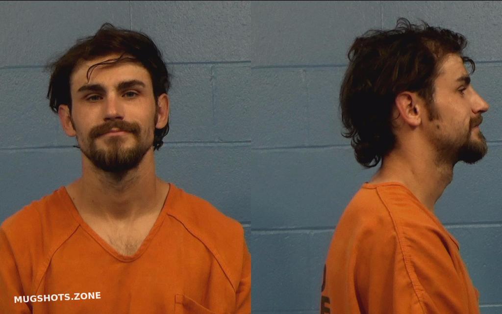 WARMAN AUSTIN MATTHEW 06/24/2022 - Williamson County Mugshots Zone