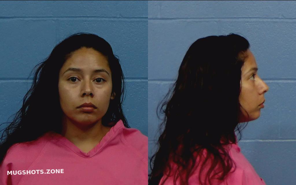 RAMIREZ ANGELA RENEE 07/04/2022 - Williamson County Mugshots Zone