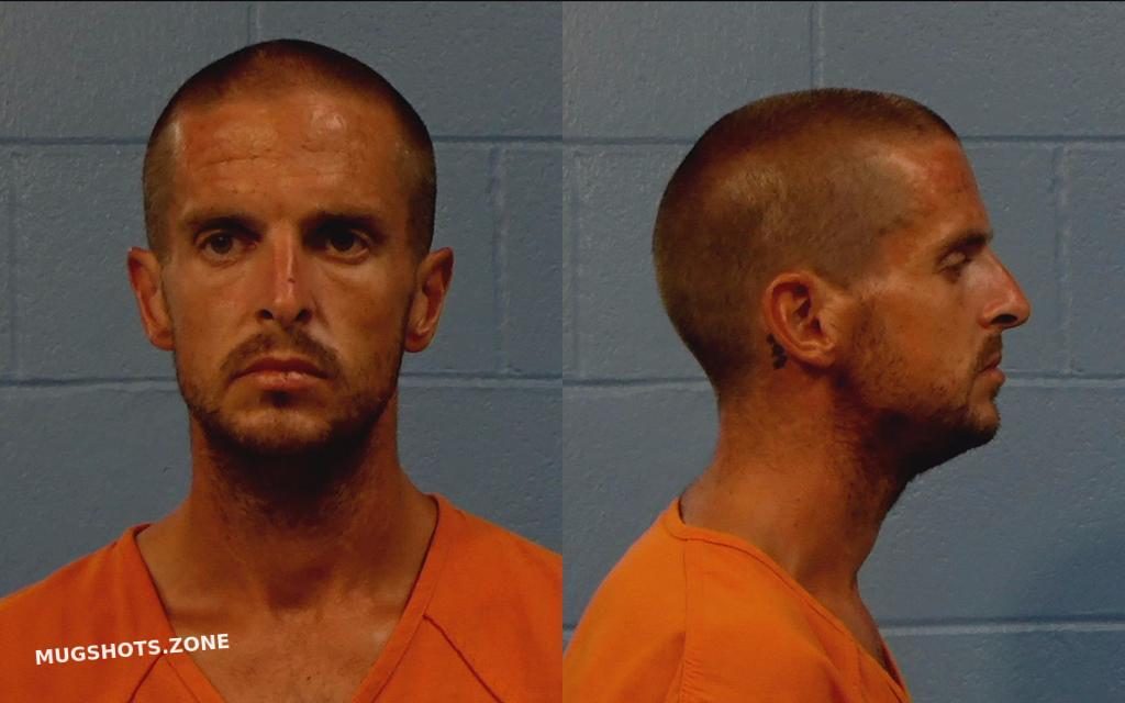 HAYES CHRISTOPHER LEE 07/12/2022 - Williamson County Mugshots Zone