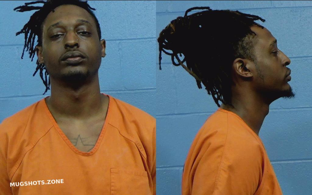 Cook Dominique Kristen 07 13 2022 Williamson County Mugshots Zone