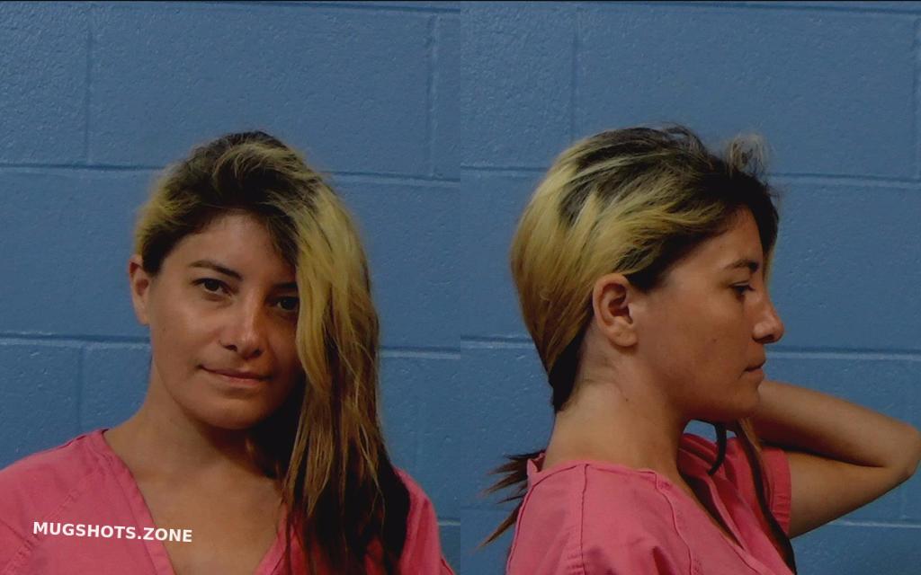 CALL NANCY MICHELLE 07/22/2022 - Williamson County Mugshots Zone