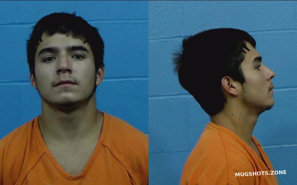 LUNA DEVAN MIGUEL 07/30/2022 - Williamson County Mugshots Zone