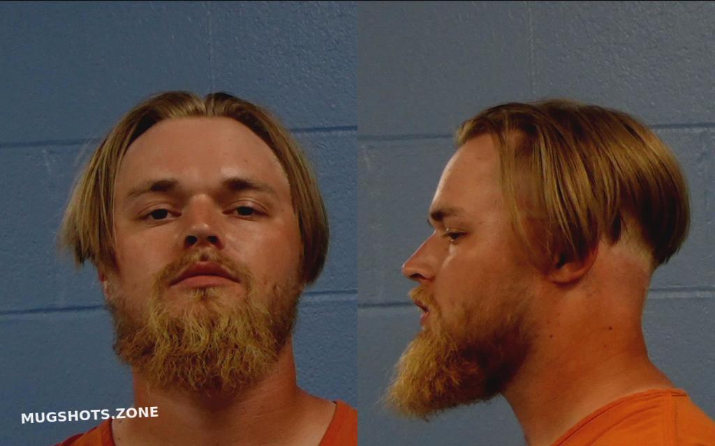 MATTHES MASON CARLTON 08/03/2022 - Williamson County Mugshots Zone
