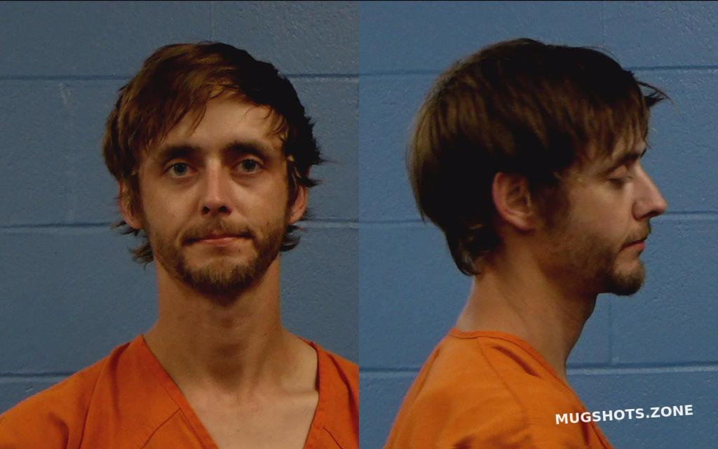 BUSING JAMES TATE 08/06/2022 - Williamson County Mugshots Zone