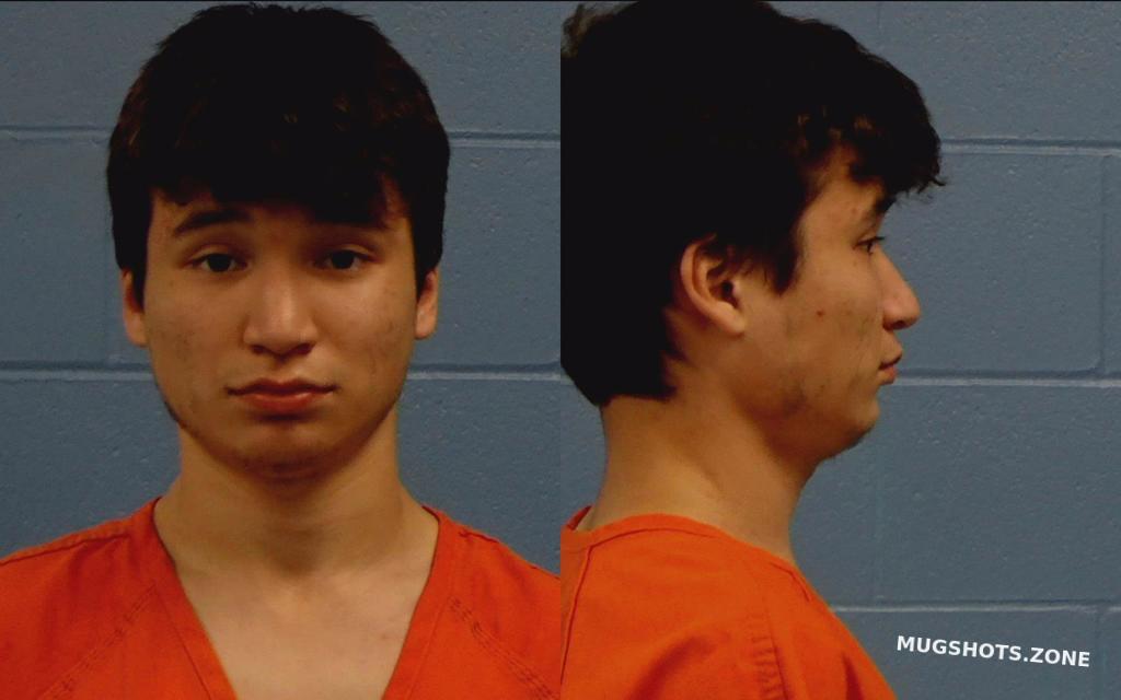 REID NICHOLAS ALEXANDER 08/07/2022 - Williamson County Mugshots Zone