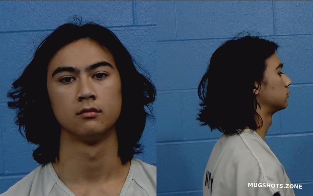 VANOVER ZANE 08/08/2022 - Williamson County Mugshots Zone