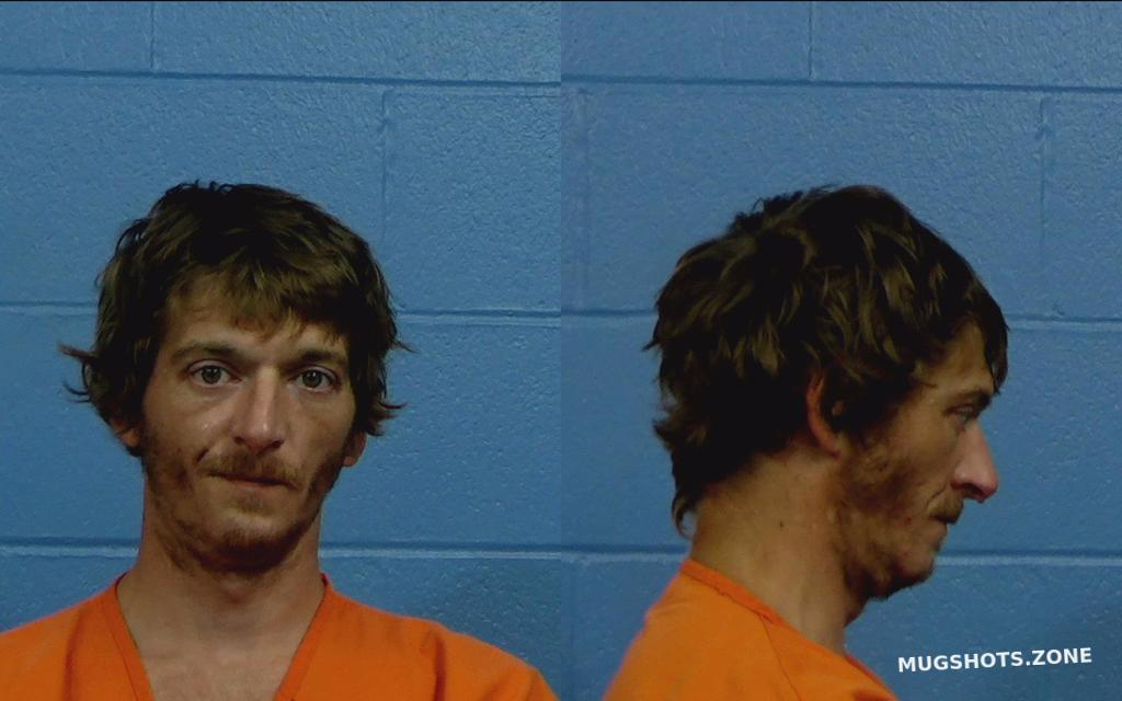 BOGAN BRADLEY WAYNE 08/09/2022 - Williamson County Mugshots Zone