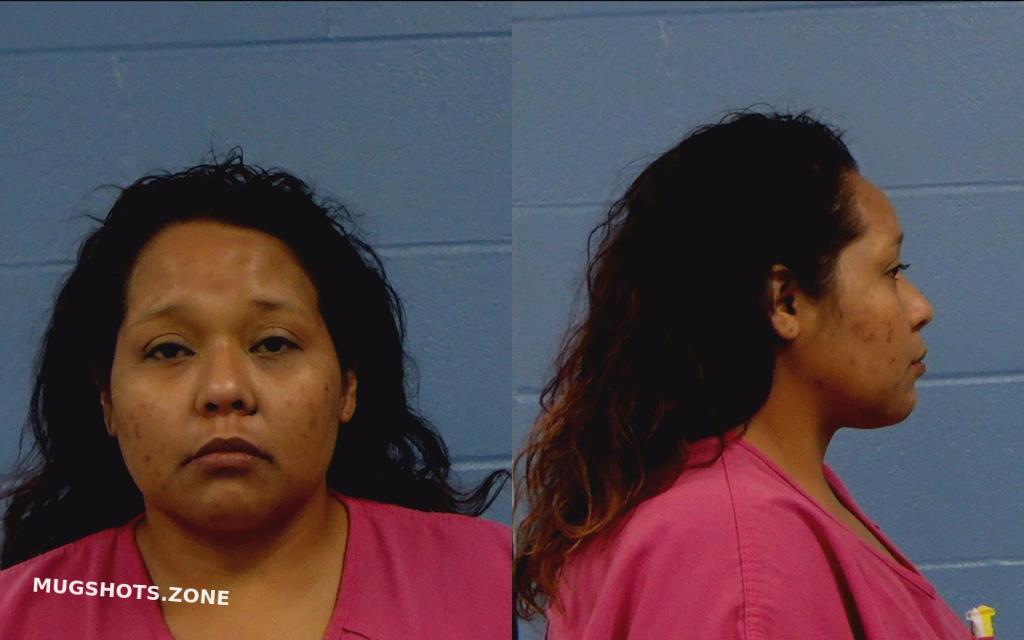 REYNA JESSICA JANE 08/11/2022 - Williamson County Mugshots Zone