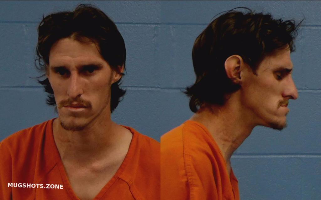 GARNER JACOB ARON 08/16/2022 - Williamson County Mugshots Zone