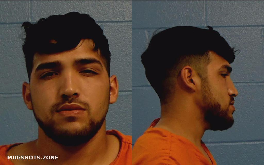 JOHNSON DEVIN ALEXANDER 08/17/2022 - Williamson County Mugshots Zone