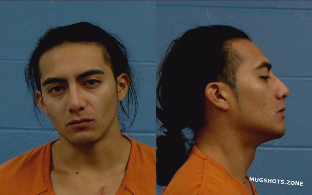 RIOJAS JERRY JAMES 08/20/2022 - Williamson County Mugshots Zone
