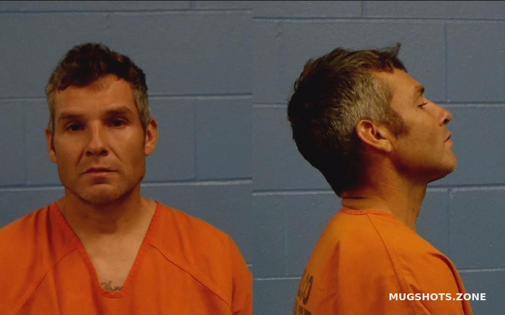 DOYLE LEE MICHAEL 08/21/2022 - Williamson County Mugshots Zone