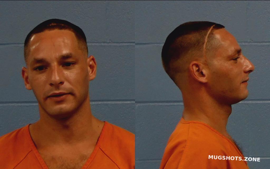 SIMON CAMERON MITCHEL 08/21/2022 - Williamson County Mugshots Zone