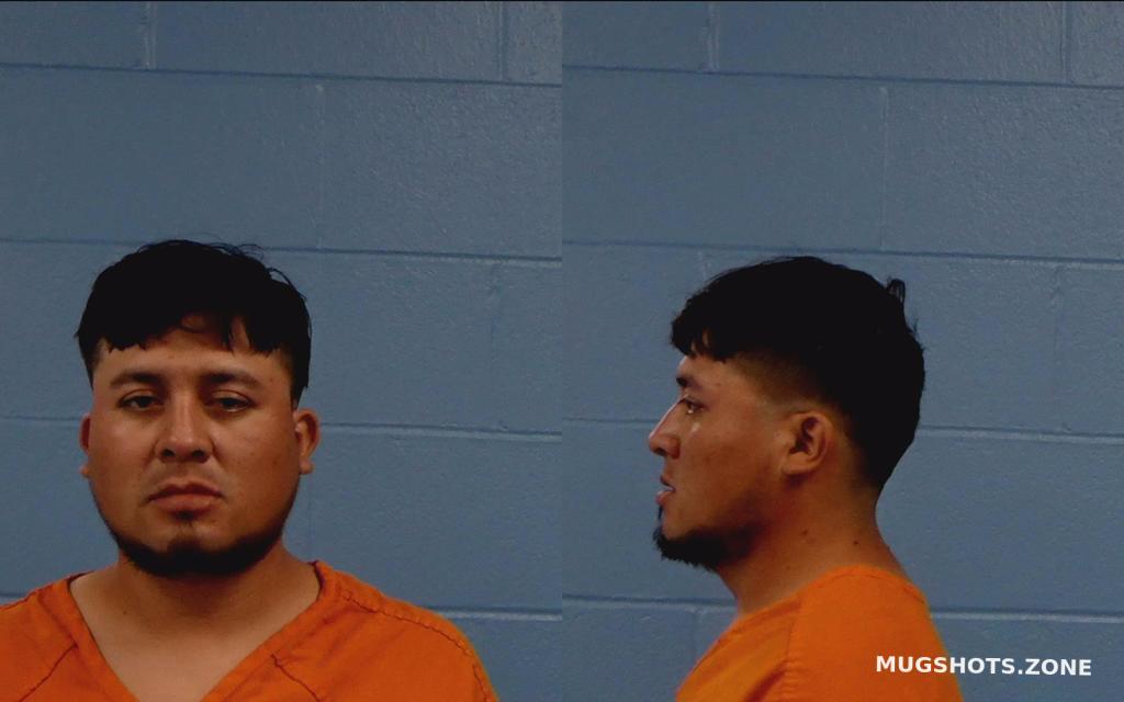 GONZALEZ-CASTILLO JONATHAN CALEB 08/27/2022 - Williamson County ...