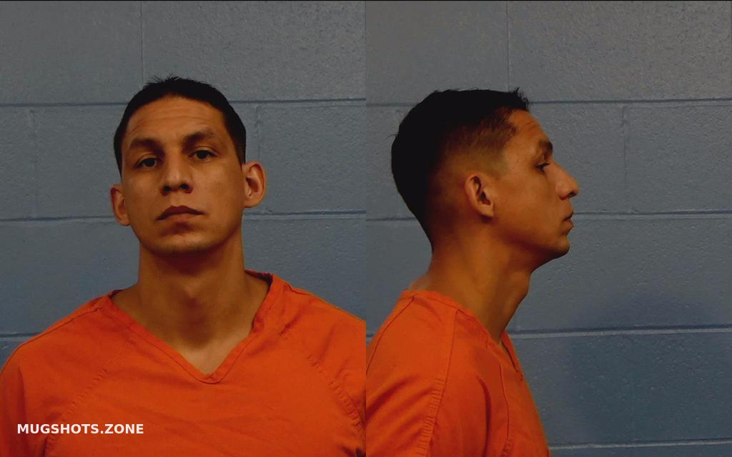 BAEZA JOEL SEBASTIAN 08/29/2022 - Williamson County Mugshots Zone