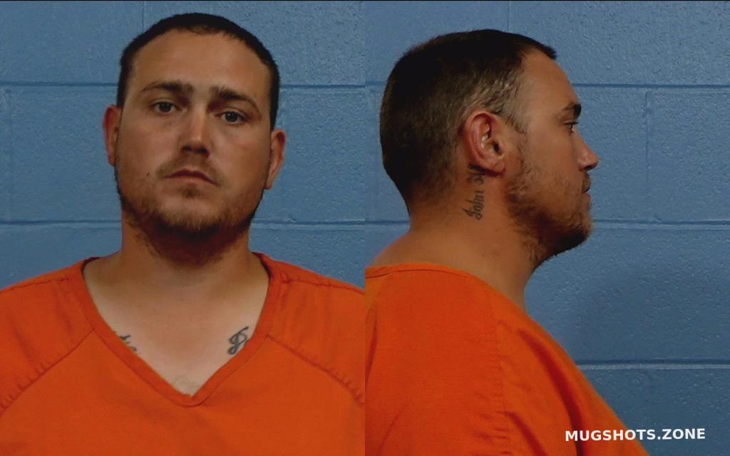 BINGHAM NATHAN REED 08/30/2022 - Williamson County Mugshots Zone