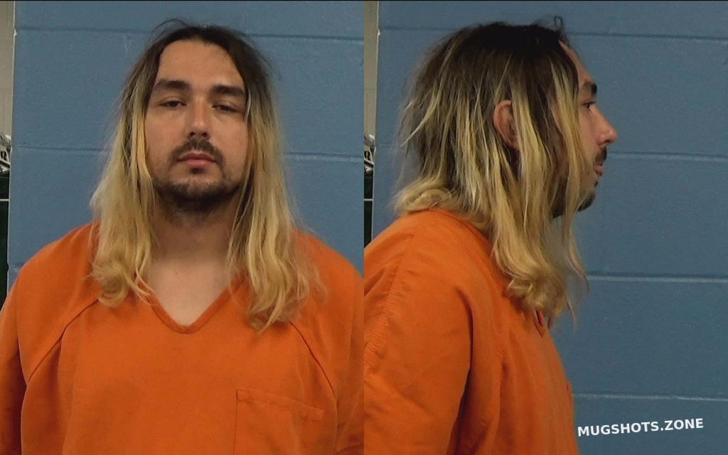 WALKER BENJAMIN DAVID 09/09/2022 - Williamson County Mugshots Zone