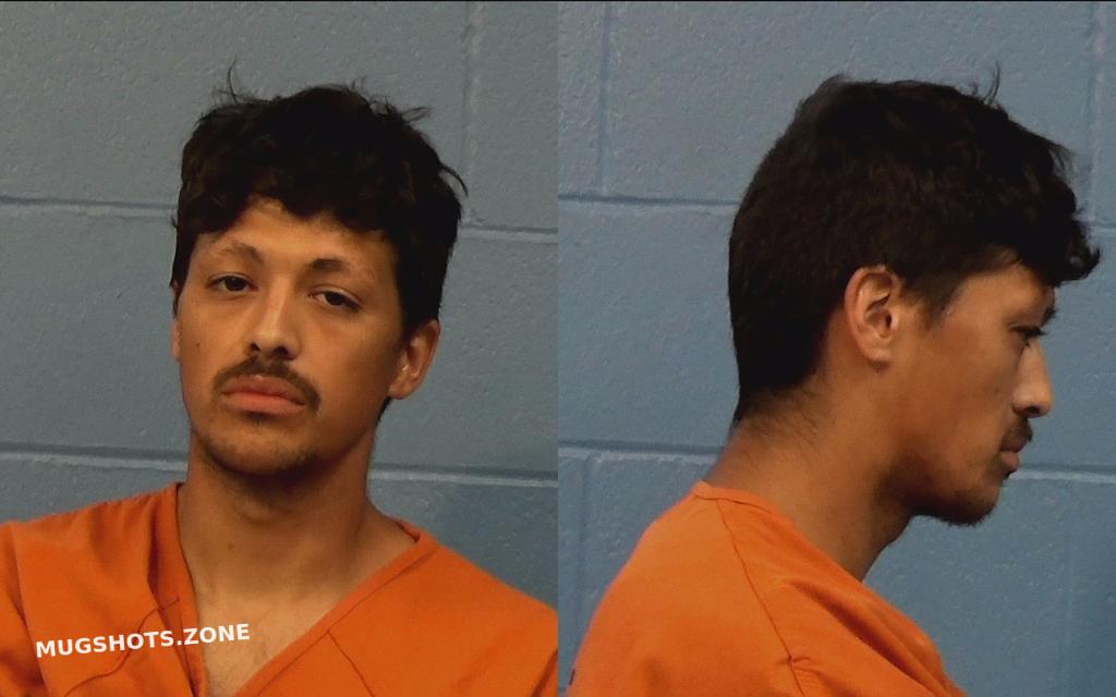 RAMOS-STOKES ADRIAN ISAIAH 09/12/2022 - Williamson County Mugshots Zone