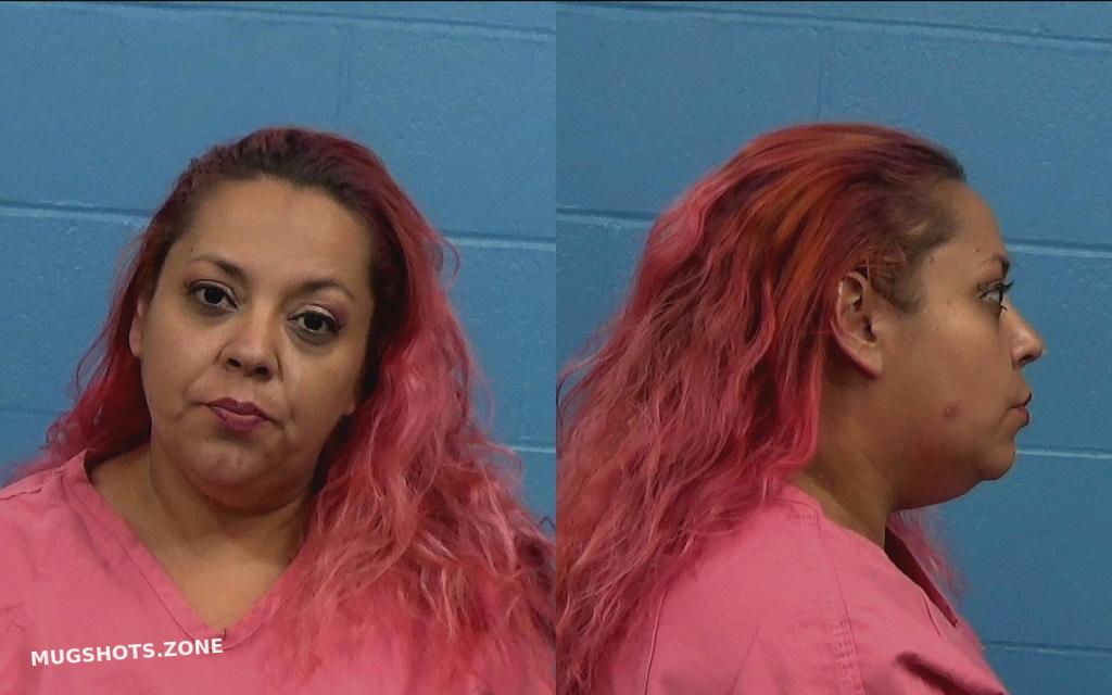 YANEZ CRYSTAL LYNN 09/25/2022 - Williamson County Mugshots Zone
