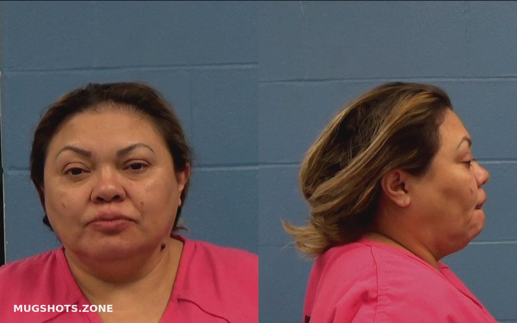 QUINTAL CAMERA REYNA BEATRIZ 09/27/2022 - Williamson County Mugshots Zone