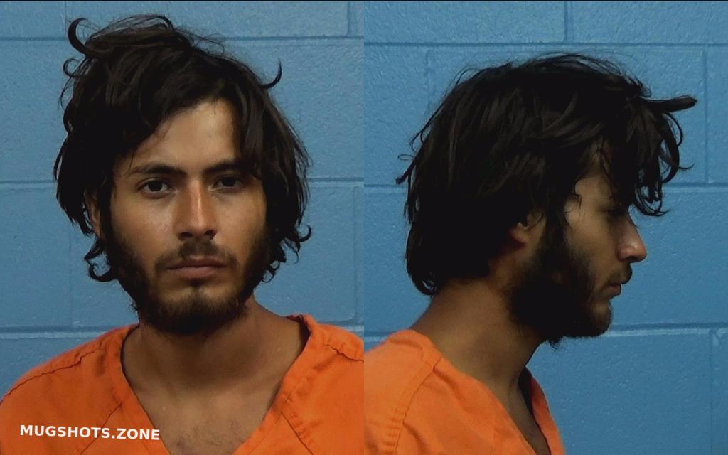 ZIRKLE BRANDON SCOTT 10/10/2022 - Williamson County Mugshots Zone