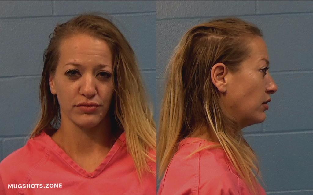 RAINES MICHELLE LEIGH 10/10/2022 - Williamson County Mugshots Zone
