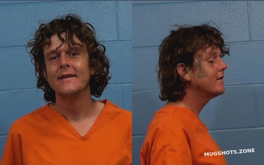 BERGIN JUSTIN DEAN 11/03/2022 - Williamson County Mugshots Zone