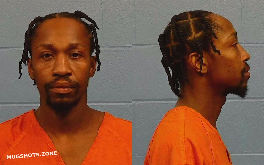 MARTIN ELIJAH LEE 11/12/2022 - Williamson County Mugshots Zone