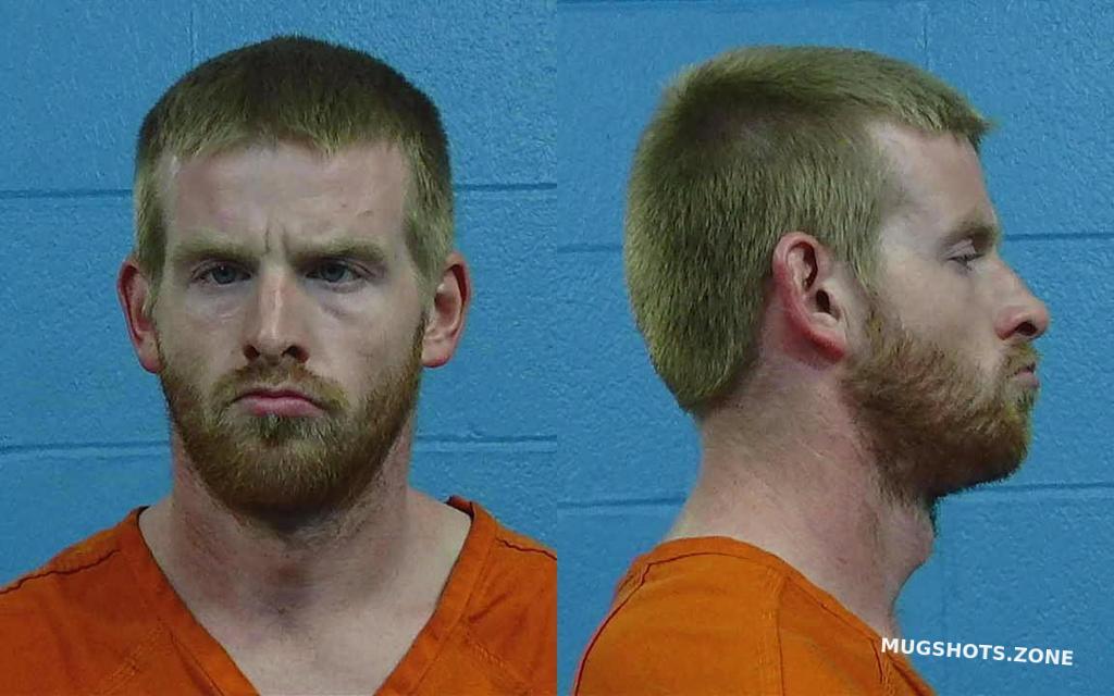 SANSOM TYLER HAMILTON 11/14/2022 - Williamson County Mugshots Zone