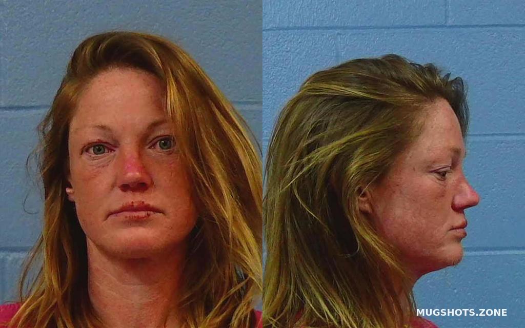 SMALL CHRISTINE MORGAN 11/15/2022 - Williamson County Mugshots Zone