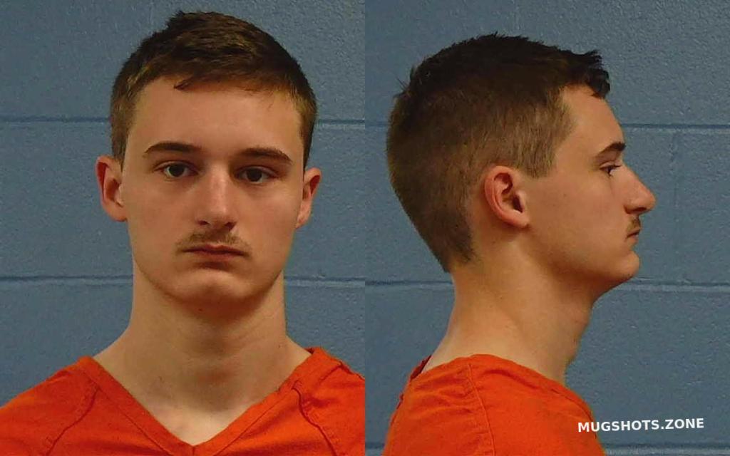 Di Carlo Dario Adrian 11 19 2022 Williamson County Mugshots Zone