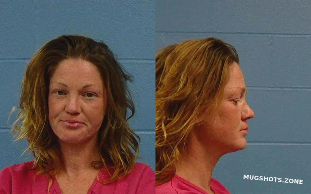 SMALL CHRISTINE MORGAN 11/19/2022 - Williamson County Mugshots Zone