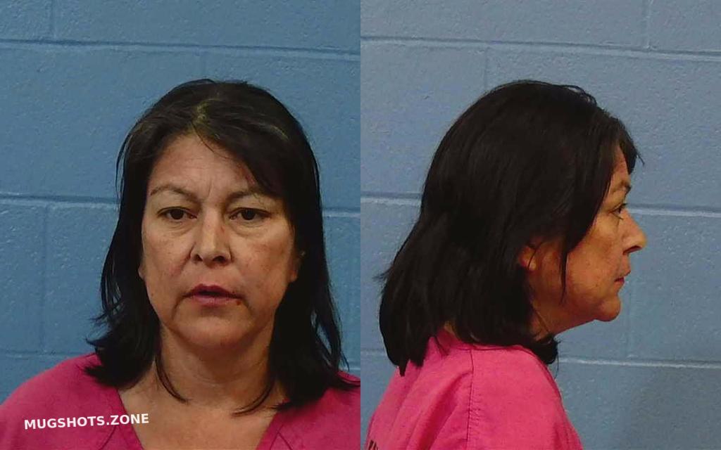 TORRES DIONE EDA 11/19/2022 - Williamson County Mugshots Zone