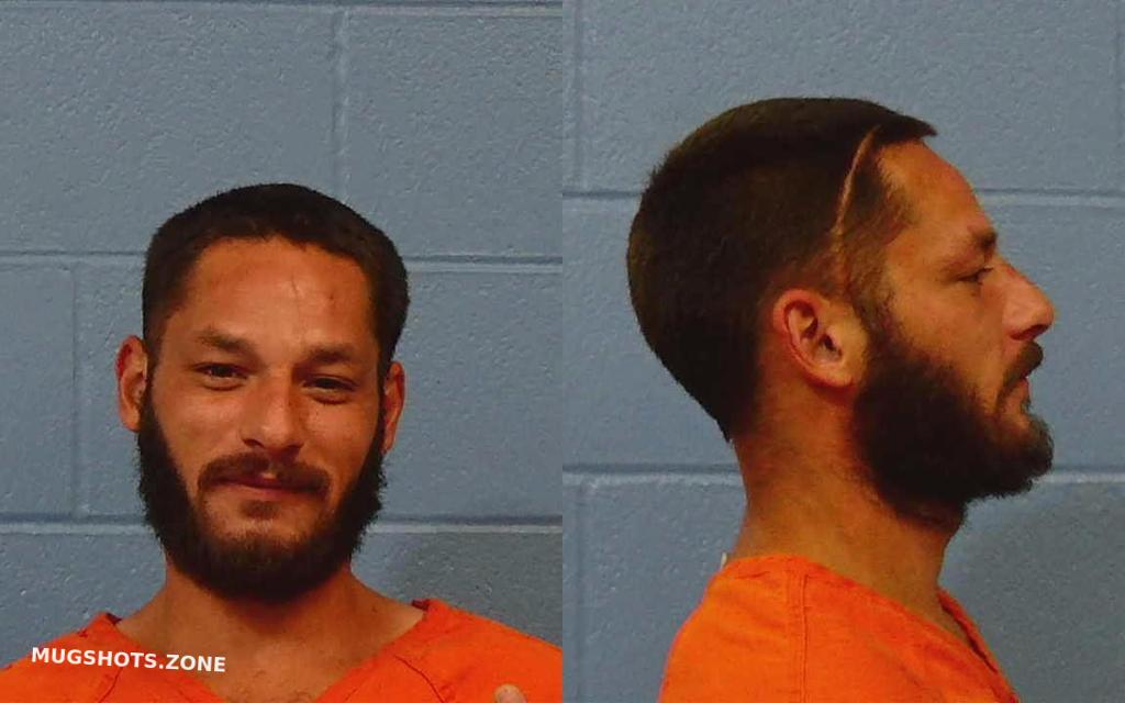 SIMON CAMERON MITCHEL 11/20/2022 - Williamson County Mugshots Zone