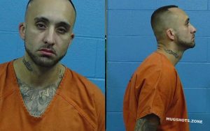 CASTILLO SHAWN LEE 11/21/2022 - Williamson County Mugshots Zone