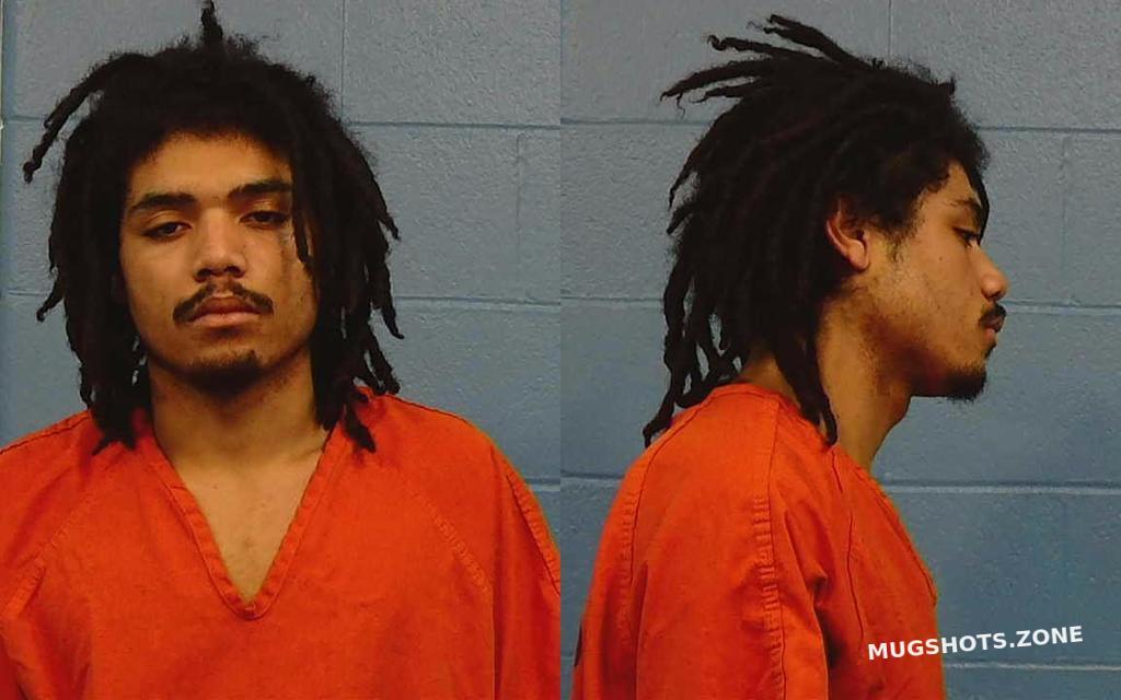 VALLES JOSEPH DEVAN 11/22/2022 - Williamson County Mugshots Zone