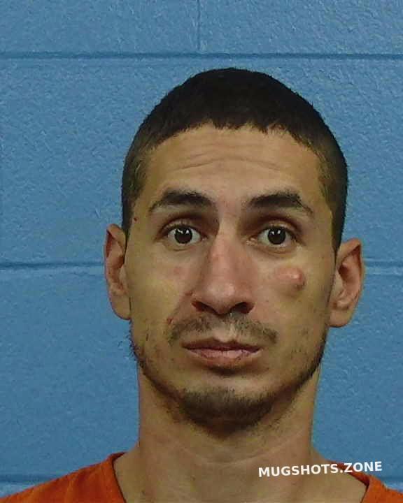 GARNER DAVID THOMAS 11/23/2022 - Williamson County Mugshots Zone