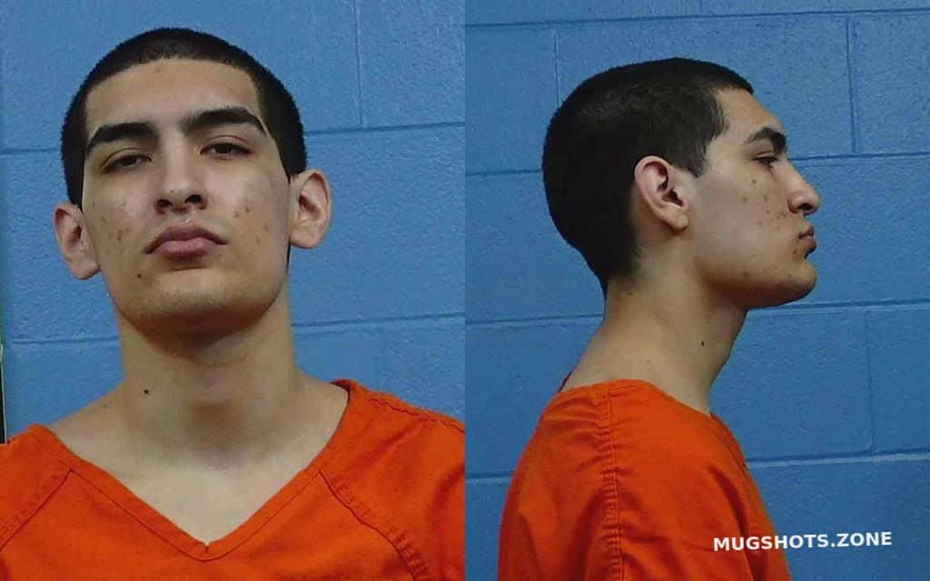 TERRAZAS EMILIO IVAN 11/23/2022 - Williamson County Mugshots Zone
