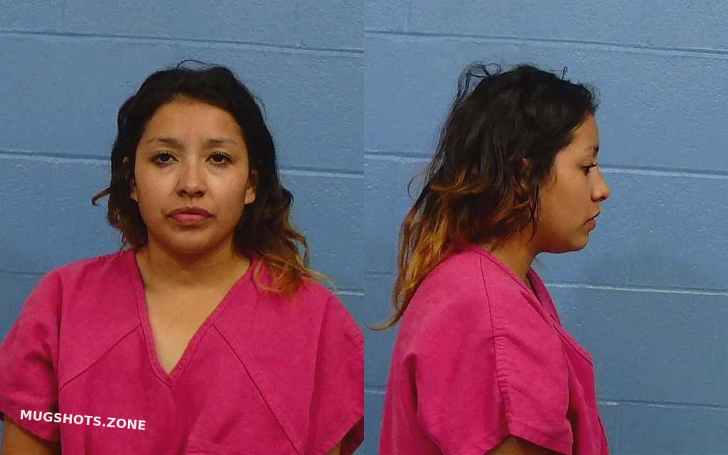 TAMBUNGA MONICA VALLEJO 11/24/2022 - Williamson County Mugshots Zone