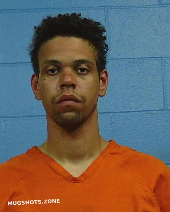 BRINKMAN BRENDON FRANK 11/24/2022 - Williamson County Mugshots Zone