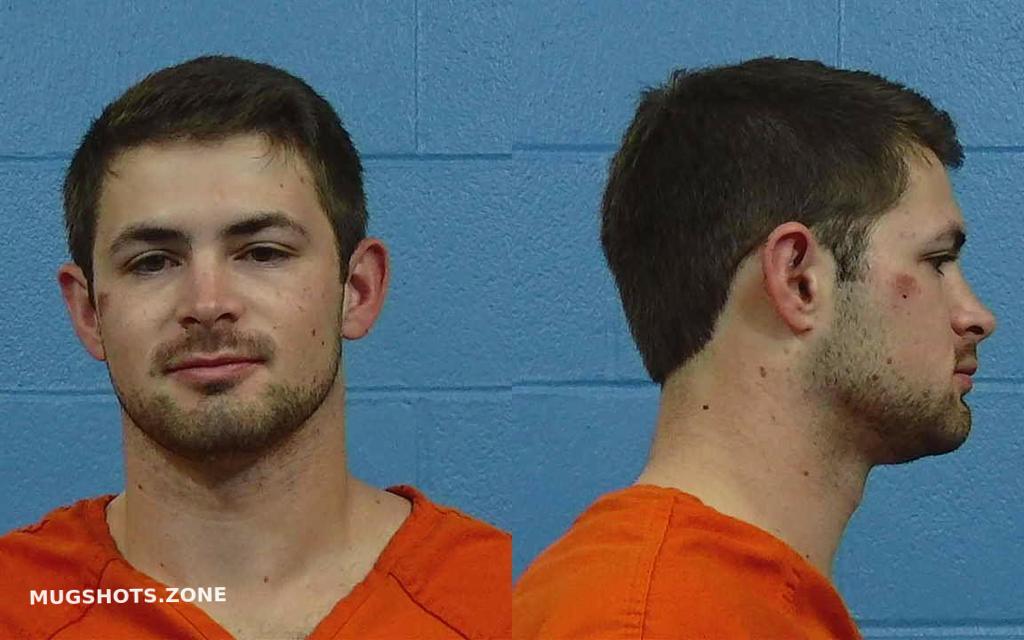 HIRSCHHORN JARED DAVID 12/03/2022 - Williamson County Mugshots Zone