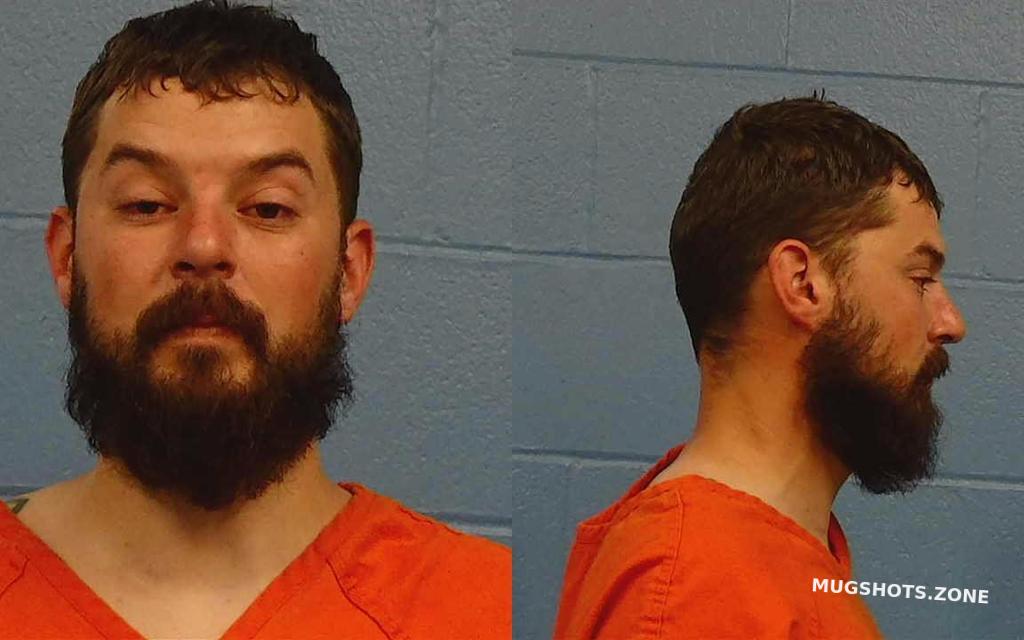 ALEXANDER STETSON GERALD 12/09/2022 - Williamson County Mugshots Zone